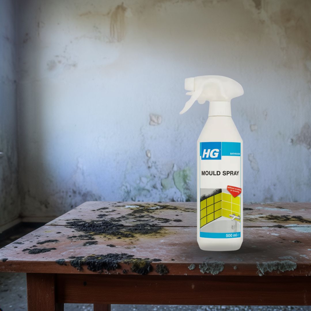 HG Mould Spray: Mistakes to Avoid - Get Kitted Out